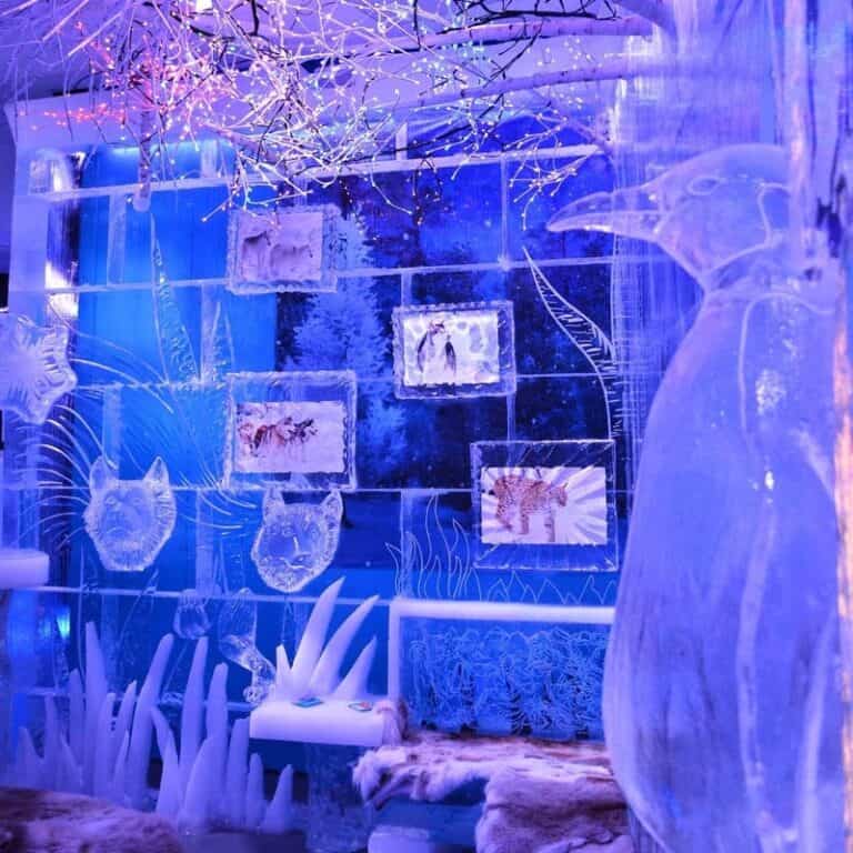 The 3 Las Vegas Minus5 Ice Bars: A Complete Guide