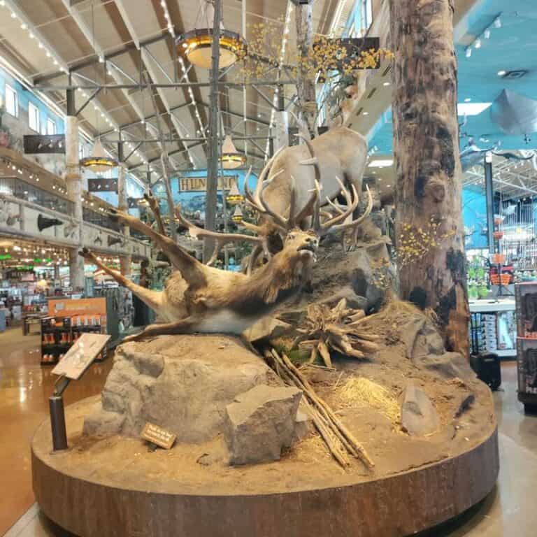 Bass Pro Shop Las Vegas: All You Need to Know